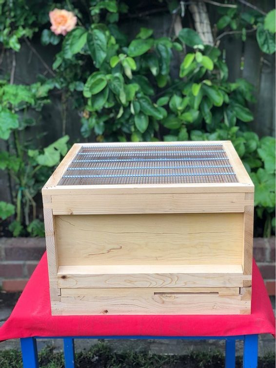 Anatolian White Pine National Beehive with landing board with hive tool ...