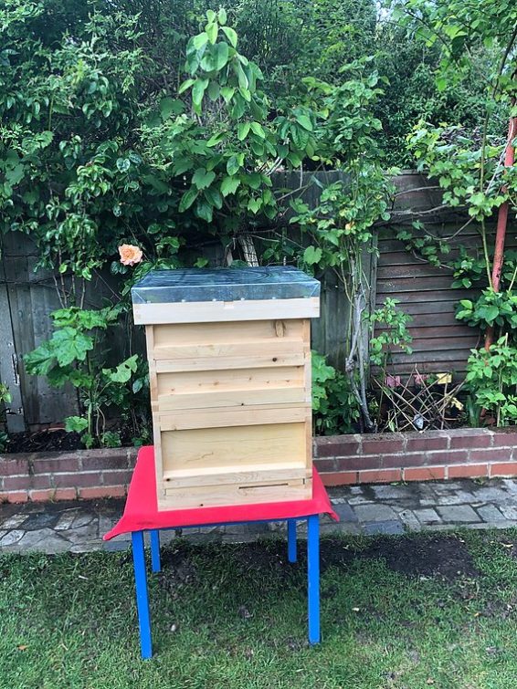 British Standards National Beehive, Real Anatolian Cedar wood, with ...