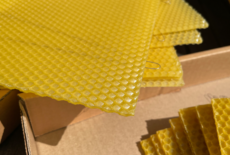 Standard Brood wired wax foundation sheets for national beehive - Hobee ...